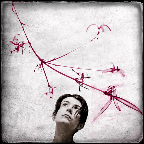 Gosia Janik – gefühlvoll komponierte (Selbst-) Porträts | www.fotopaed ...